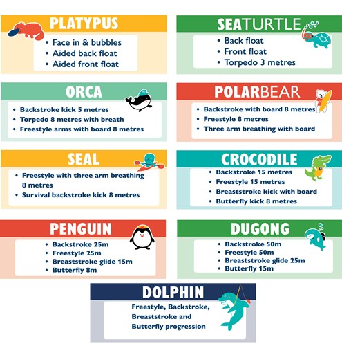 School Swimming level selection | Glen Eira Leisure